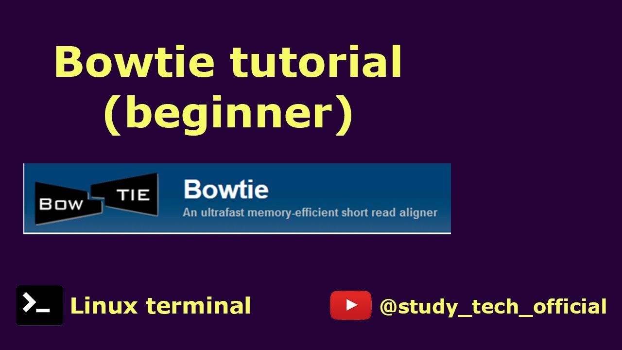 Bowtie tutorial || beginner || - YouTube