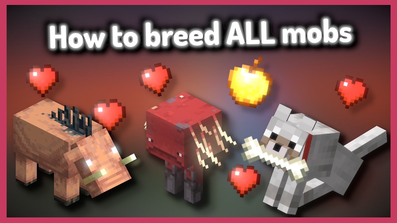 How to breed every mob in Minecraft ️| How To Minecraft - YouTube