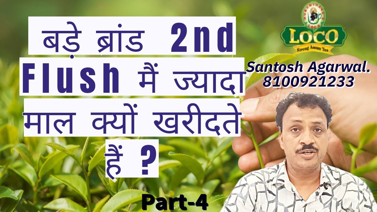 #chai ka 2nd Flush !! 6 Important thing about this flush | चाय की 2nd ...
