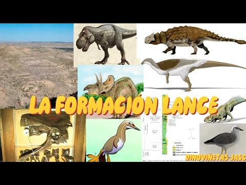 LA FORMACIÓN LANCE - YouTube