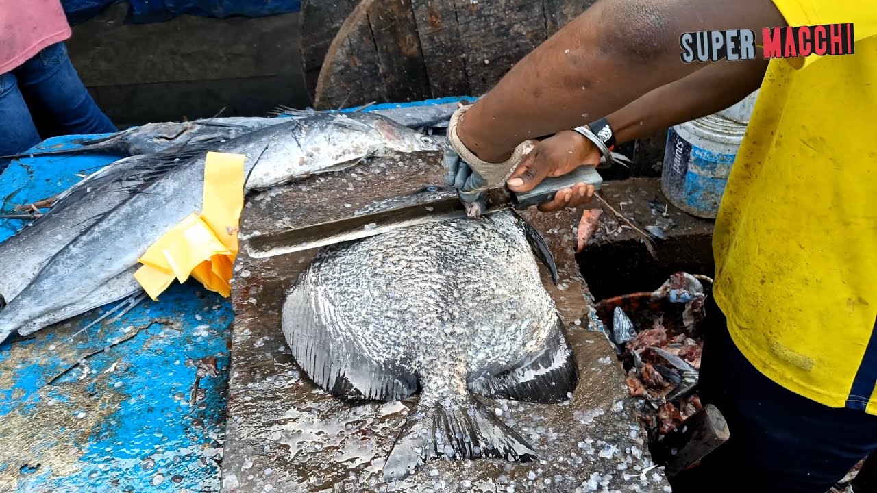 ORB FISH CUTTING || ROUND SPADE FISH CUTTING - YouTube