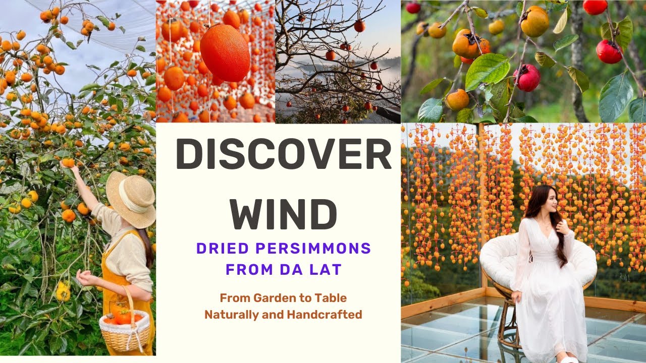 Discover Wind-Dried Persimmons from Da Lat | From Garden to Table ...