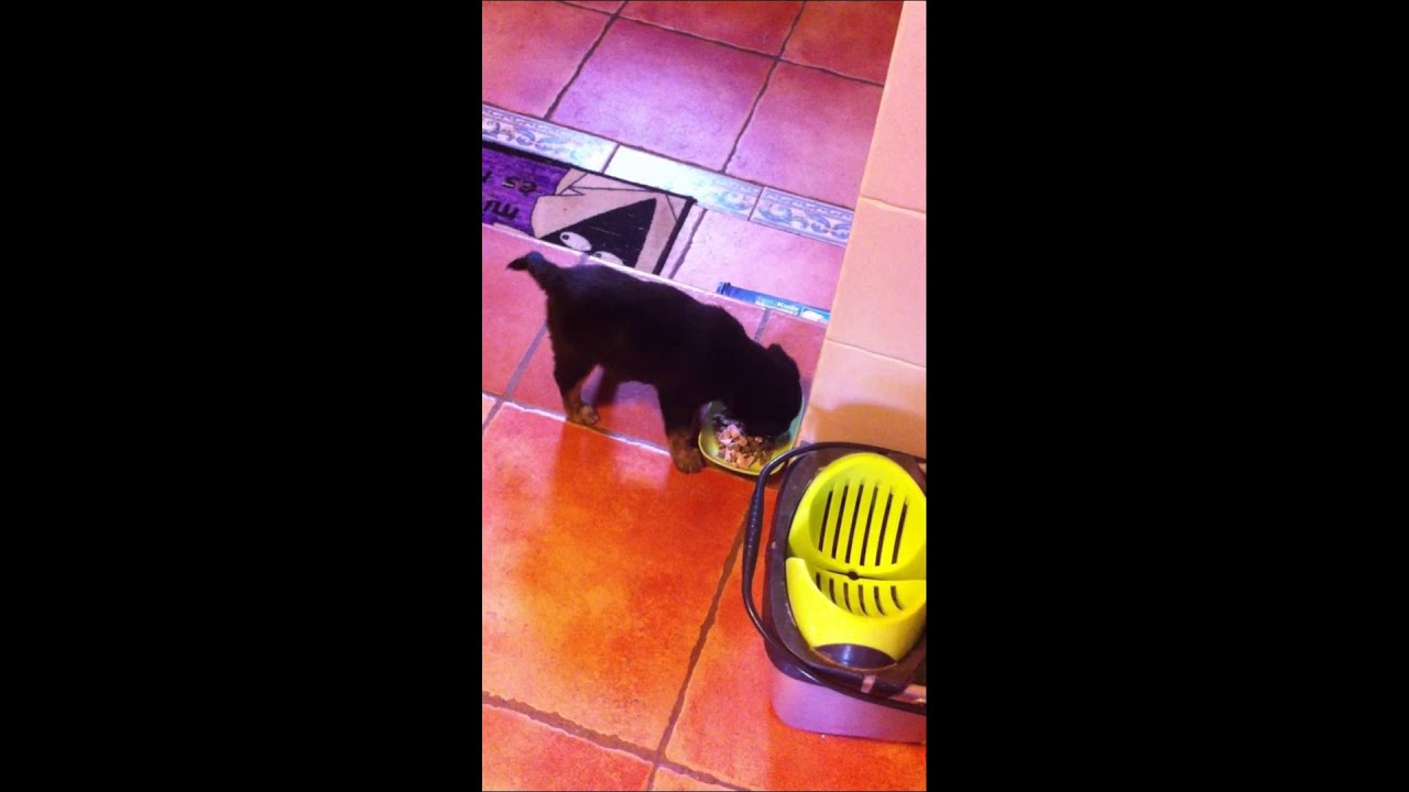 Mulan - Eating - YouTube