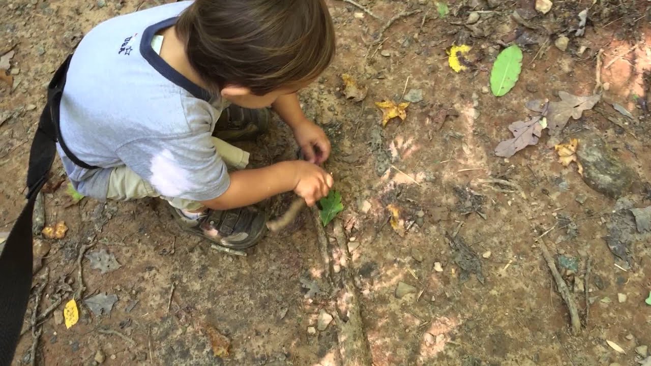 Fixing nature - YouTube