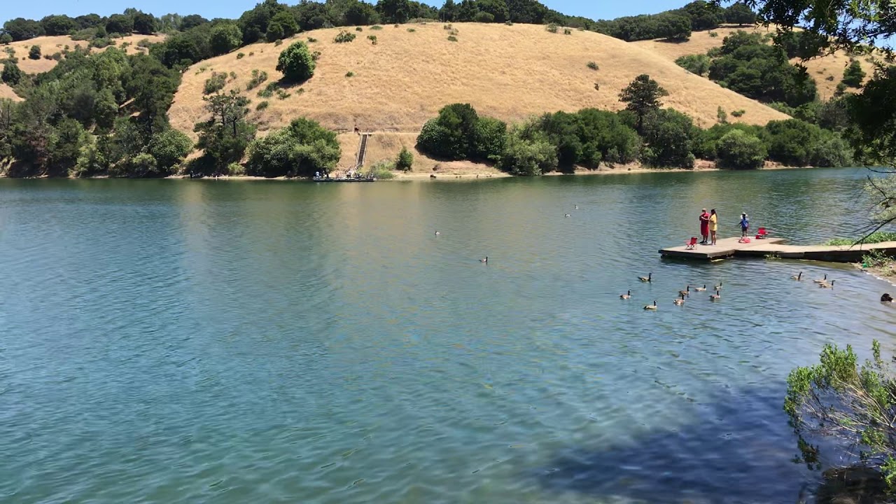 Green screen pier water chroma key zoom virtual background - YouTube