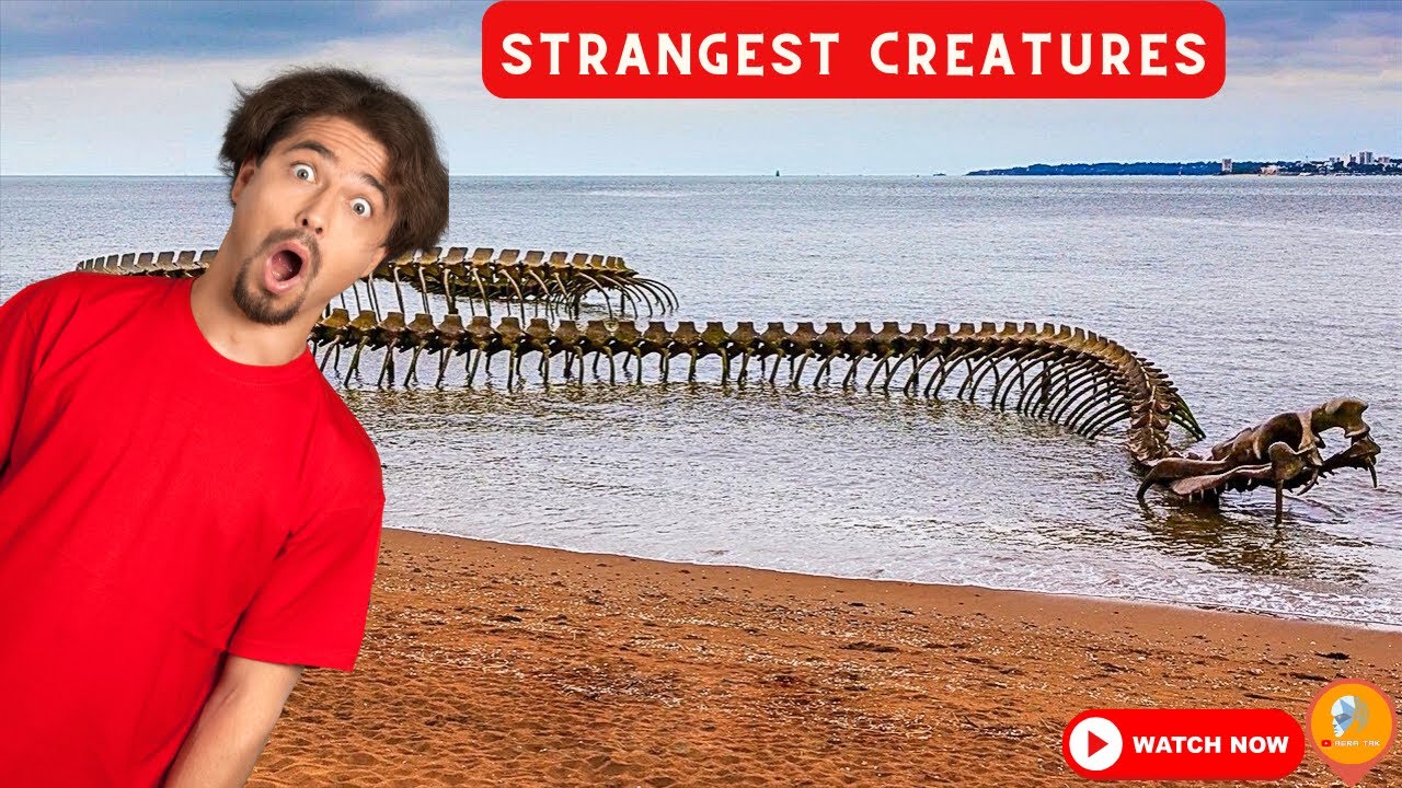 The Biggest Creatures to Have Ever Lived: Size Record creatures - YouTube