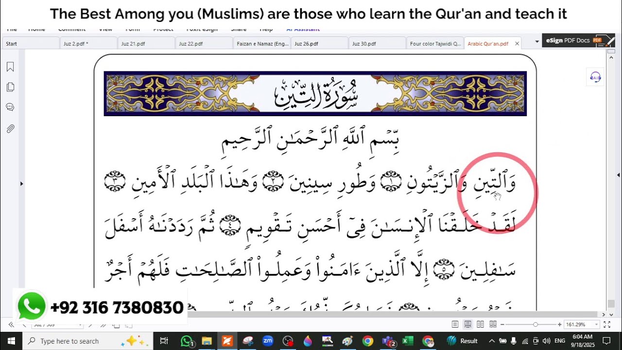 Surah At-Tin | Learn Quran Reading with Tajweed (Word by Word ...