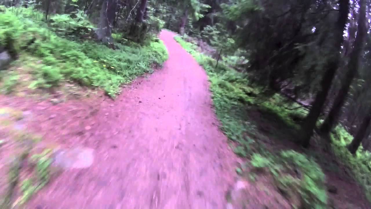 Crazy mountain bike trail! - YouTube