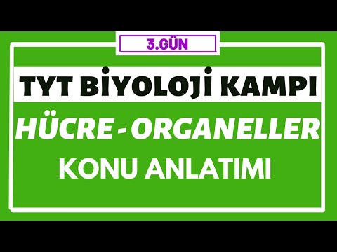 Hücre ve Organeller Konu Anlatımı | TYT BİYOLOJİ KAMPI | 3.gün |