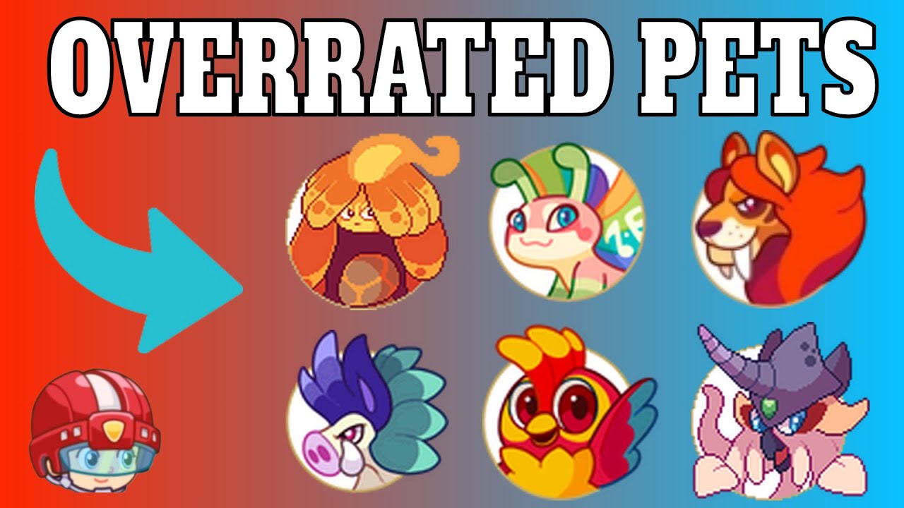 The Most Overrated Pets... | Prodigy Math Game - YouTube