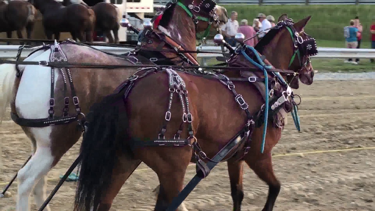 Pony Pull at the 2017 July Show - YouTube