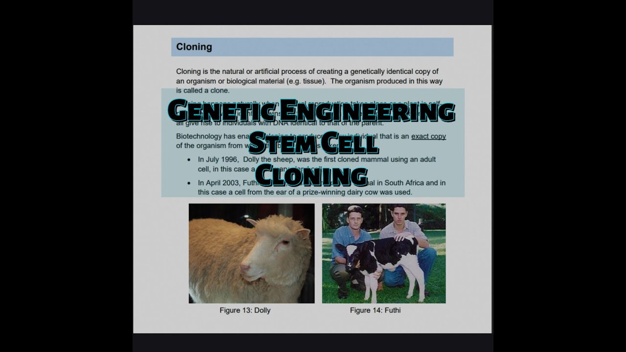 Stem Cell and Cloning | Genetics and Inheritances | Full Class | Life ...