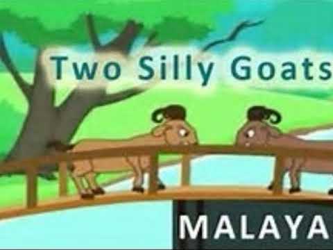 videos Two wise goats - YouTube