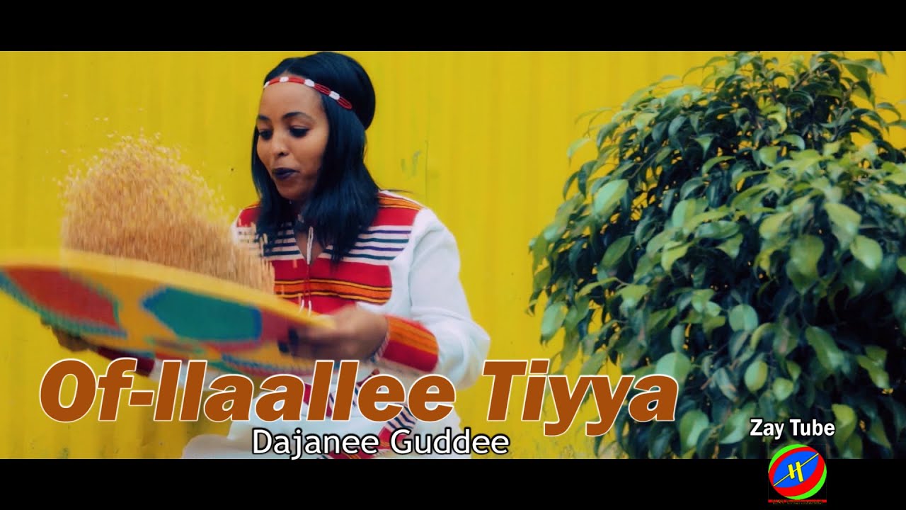 Dajanee Guddee - Of-Ilaallee Tiyya - New Oromo cultural music - 2022 ...