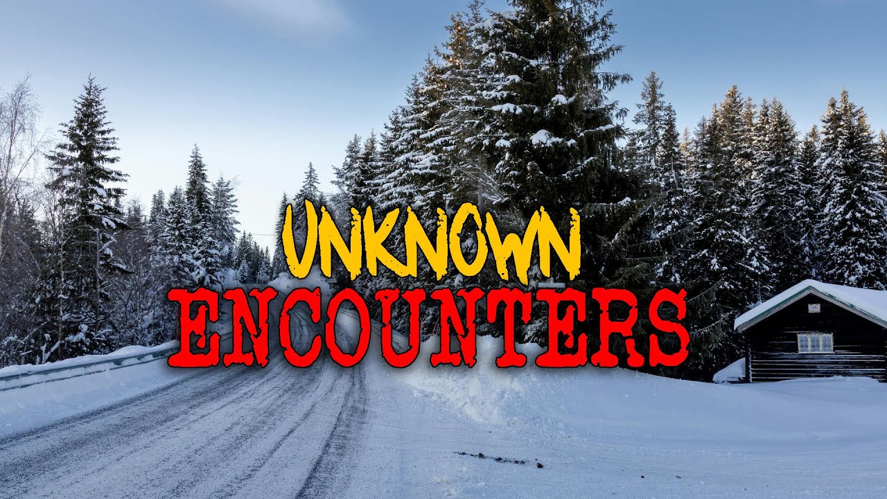 Unknown Cryptids: 4 Completely Bizarre and Terrifying Encounters - YouTube