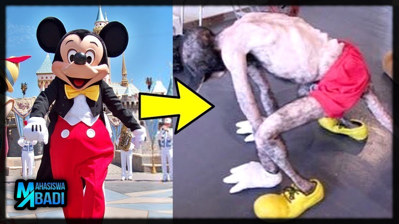 PUTERI DISNEY TERNYATA SANGAT KEJAM ? 10 MISTERI TERBESAR DISNEY YANG AKHIRNYA TERBONGKAR ...