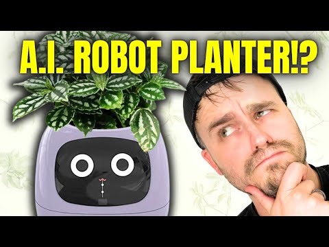 Plantsio Smart Pet Planter Robot From Amazon! | IVY FULL REVIEW