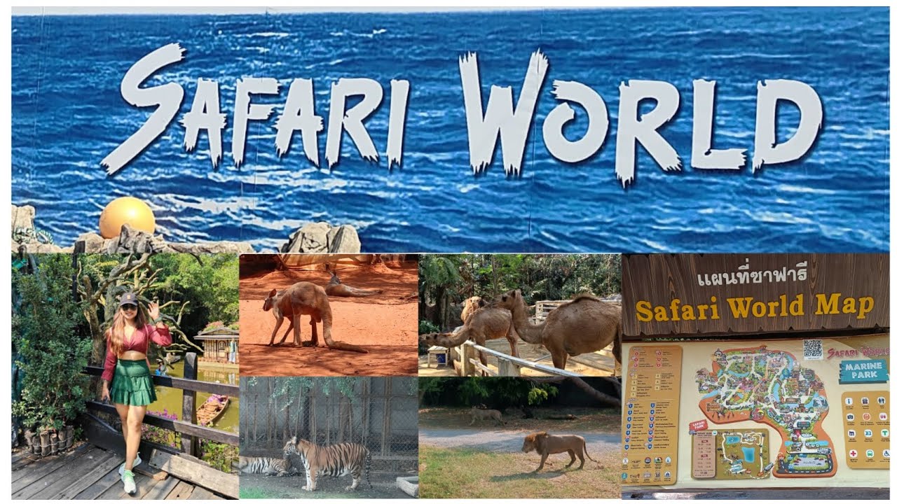 Safari World Bangkok||Dolphins- Elephatant- Orangutan Show||Spy War ...