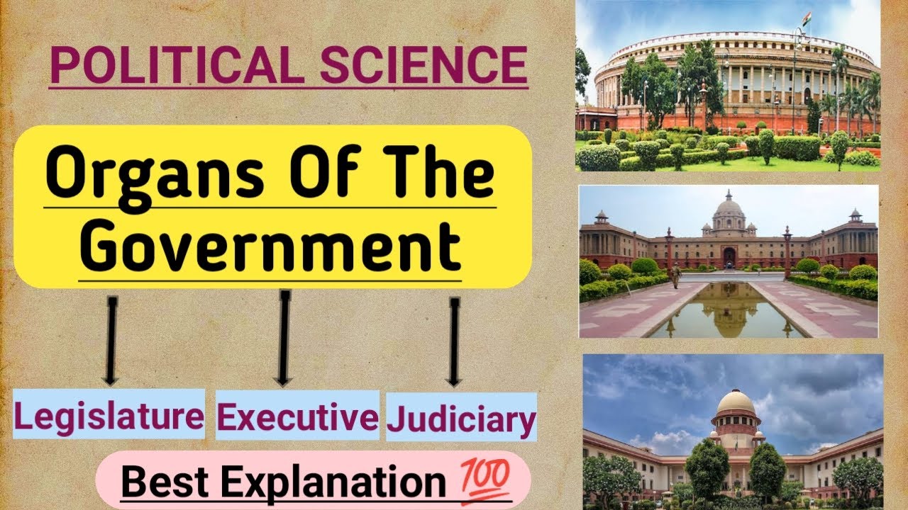 Organs Of Government | Political Science | Legislature, Executive ...
