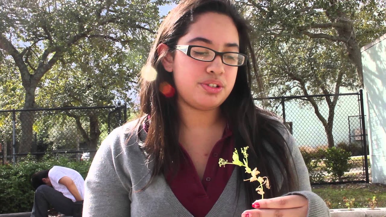 Barbara Goleman Senior High (Challenge 8 2014-2015) - YouTube