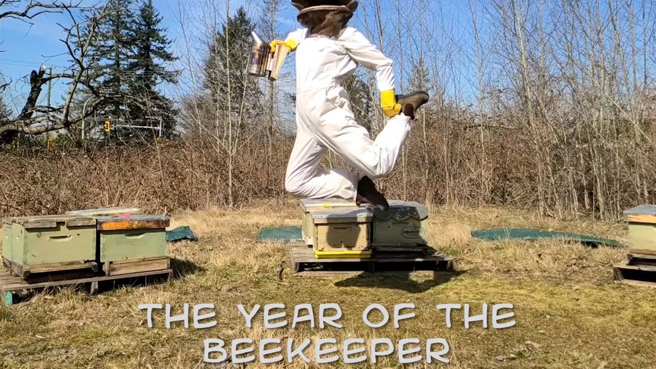 The year of a Beekeeper - YouTube