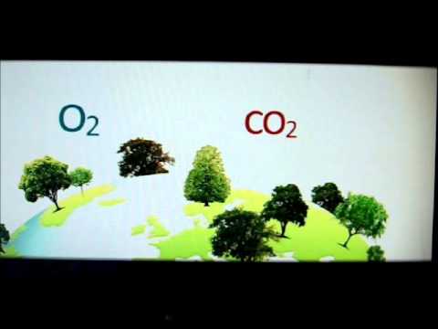 Co2 is good ! not bad ! a naturally occurring chemical compound - YouTube