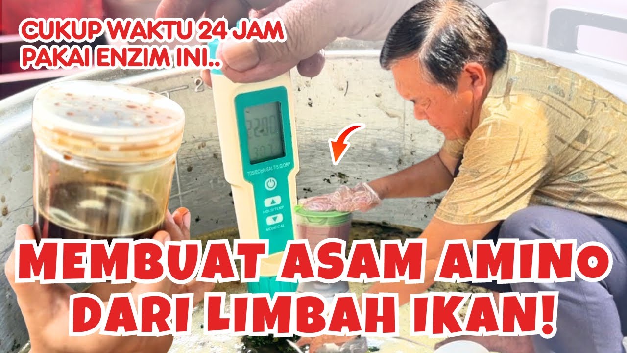 Praktek Membuat Asam Amino Termudah, Hanya 24 Jam! - YouTube