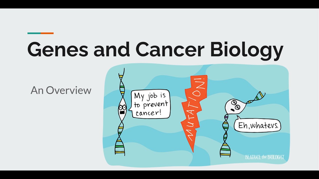 Genes and Cancer Biology An Overview - YouTube