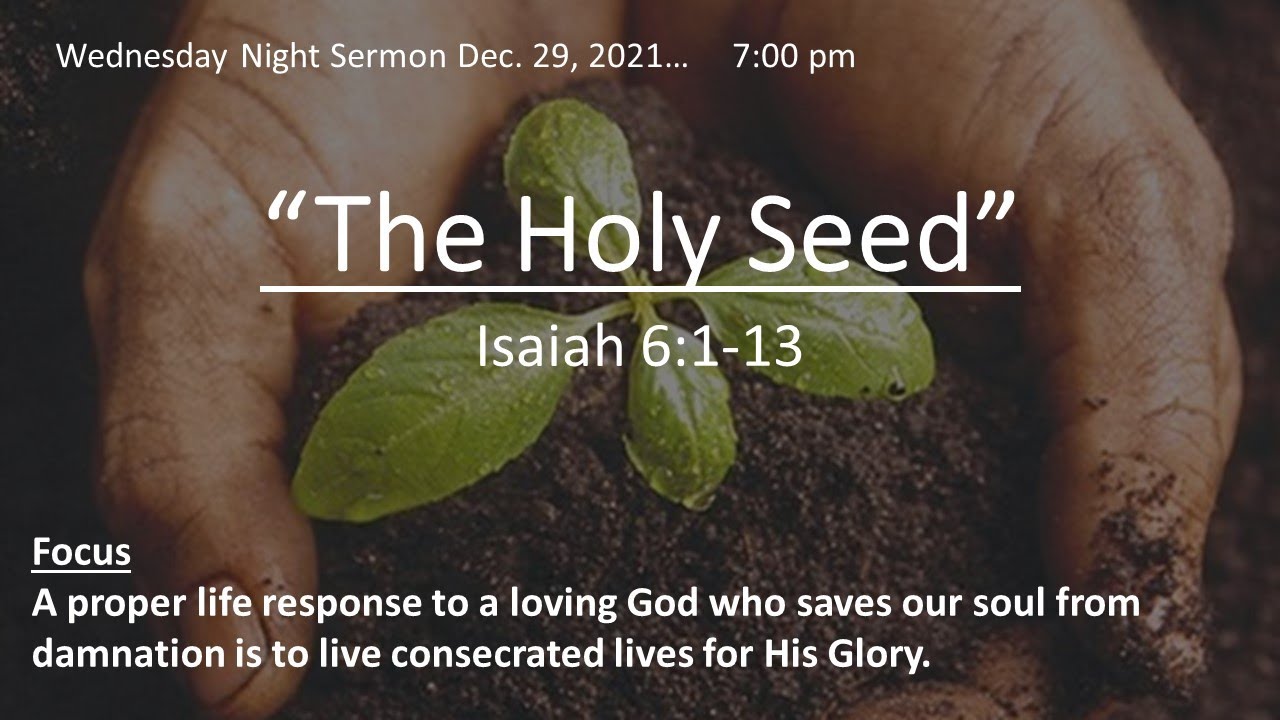 "The Holy Seed" - YouTube