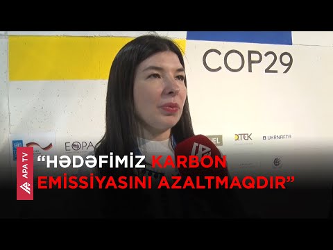 Viktoria Kireeva: “Ölkəmiz aktiv şəkildə enerjinin bərpası üzərində işləyir” – APA TV