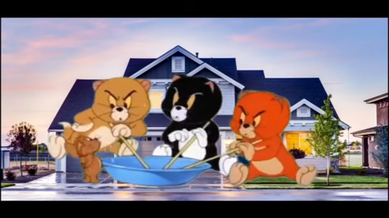 tom and jerry full episodes | tom and jerry cartoons - YouTube