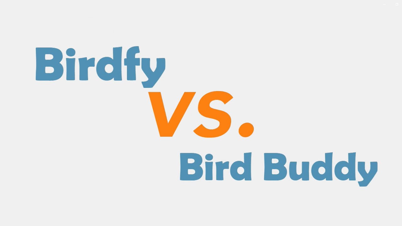 Birdfy Vs Bird Buddy