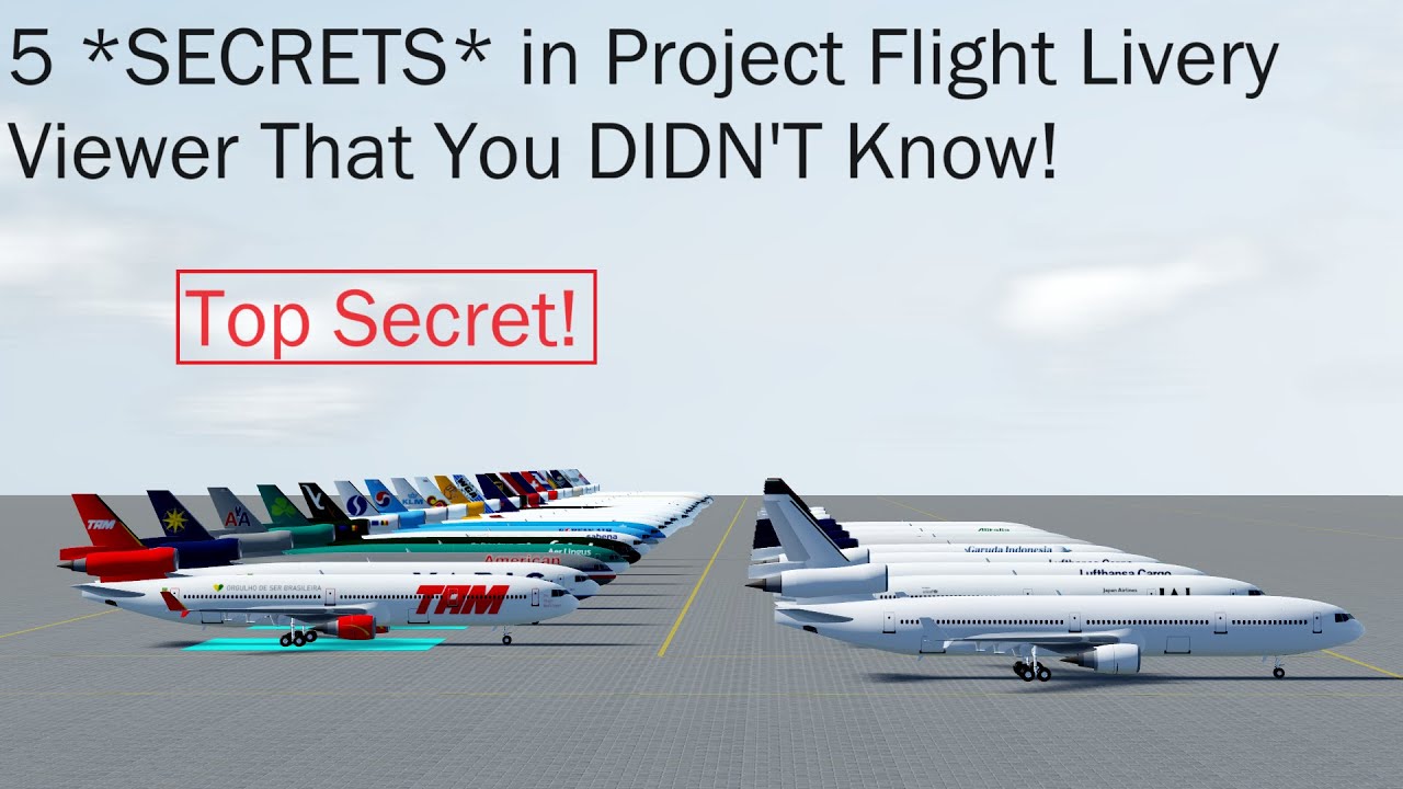 5 *SECRETS* In Project Flight Livery Viewer That You DIDN'T Know! # ...