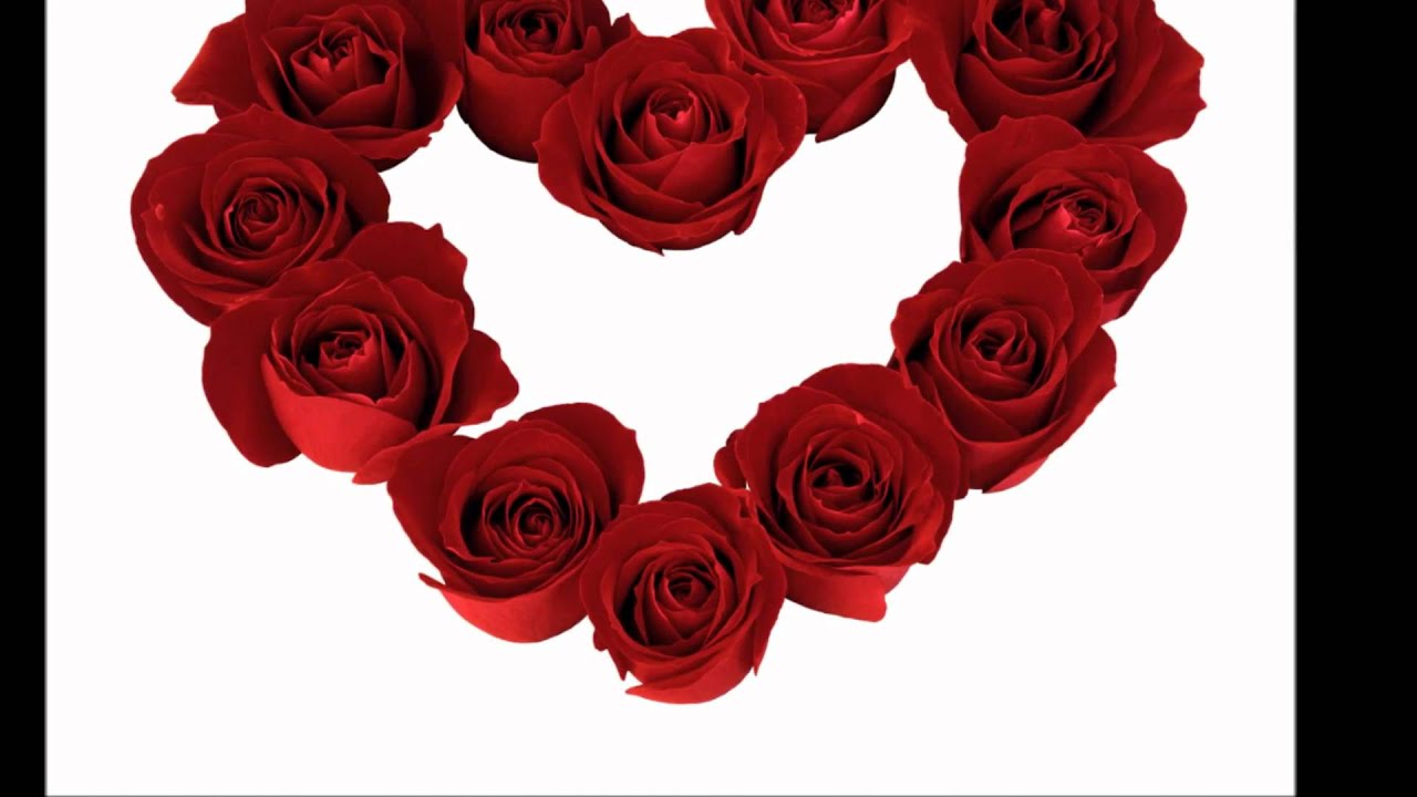 Tum Ho Mera Pyar YouTube tum-ho-mera-pyar-youtube