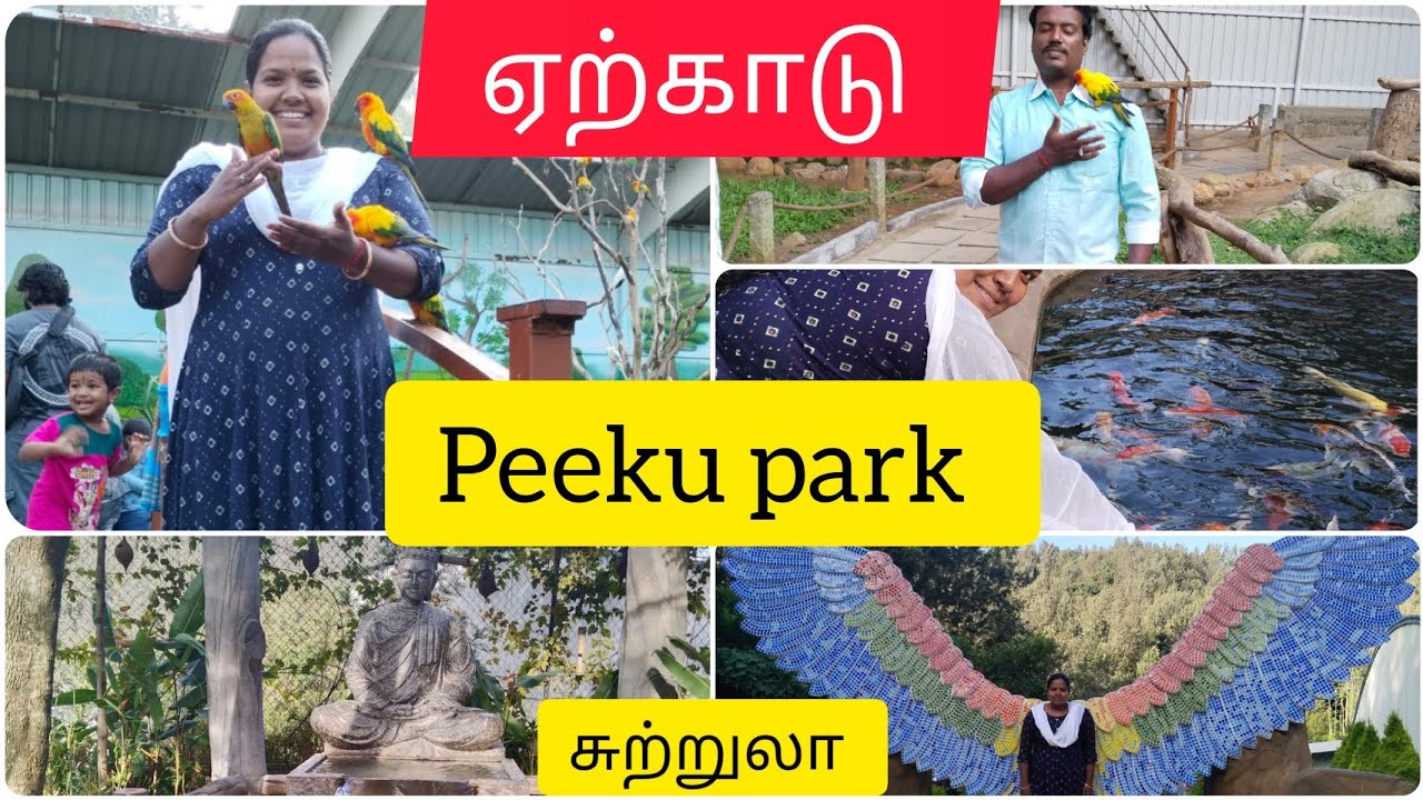 ஏற்காடு peeku park ஒரு நாள் சுற்றுலா #vlog - YouTube