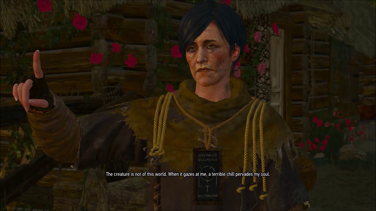 Witcher 3 - Equine Phantoms - Funny Roach - Talking with animals - YouTube