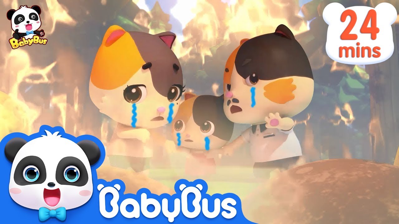 Baby Kitten's Daddy Got Injured in Forest Fire | Super Panda Rescue ...