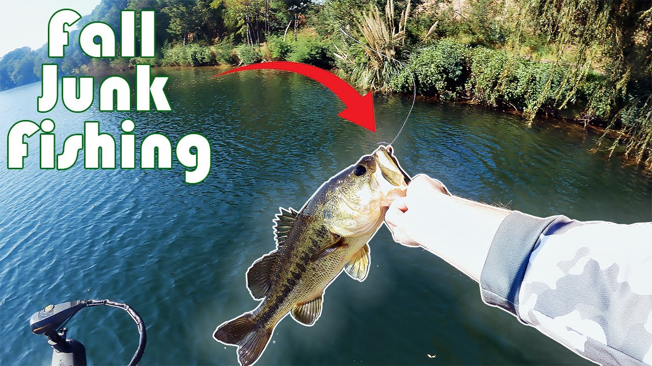 Junk Fishing In Autumn South Africa (EVERY LURE WORKS) - YouTube