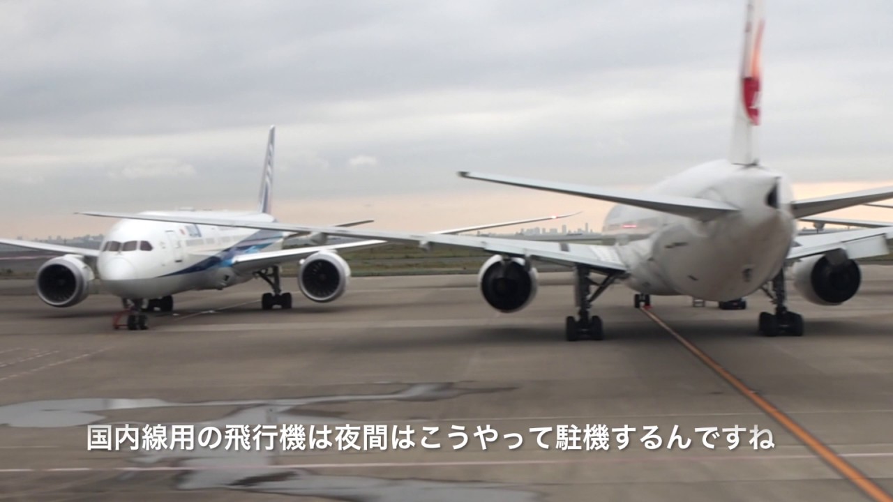 【機内から離着陸映像】2017年6月 日本航空 JL36 シンガポール - 羽田 TDLを見ながら羽田空港着陸(Landing at ...