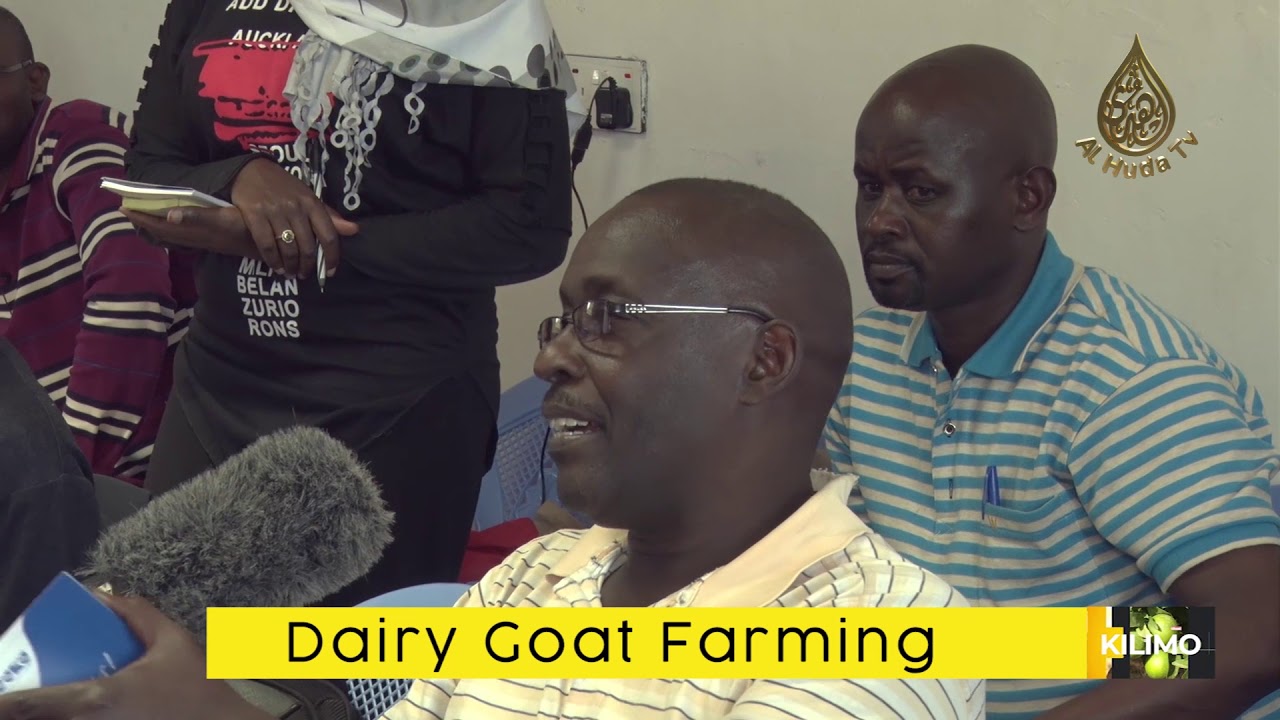 KILIMO HAI S1 Episode 5 |Dairy Goat Farming - YouTube