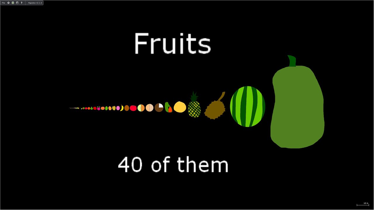 Fruit Size Comparison Version 3 YouTube