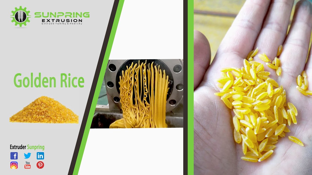 Golden Rice/Colored rice production line/Sunpring® Extrusion Machine ...