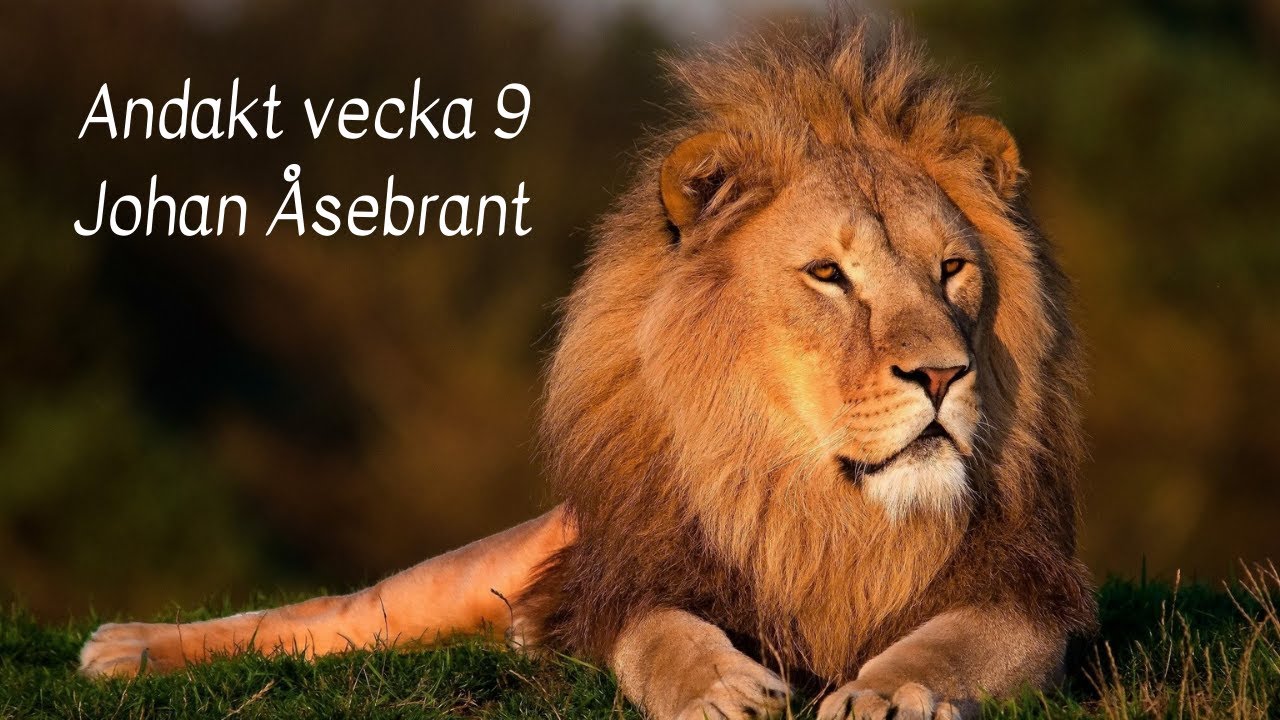 Andakt vecka 9 - YouTube