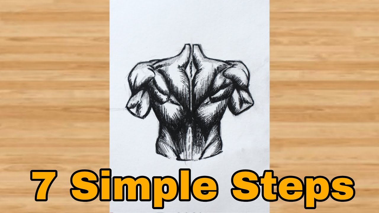 Simple Guide to Drawing Back Muscles | 7-Step Tutorial for Beginners ...