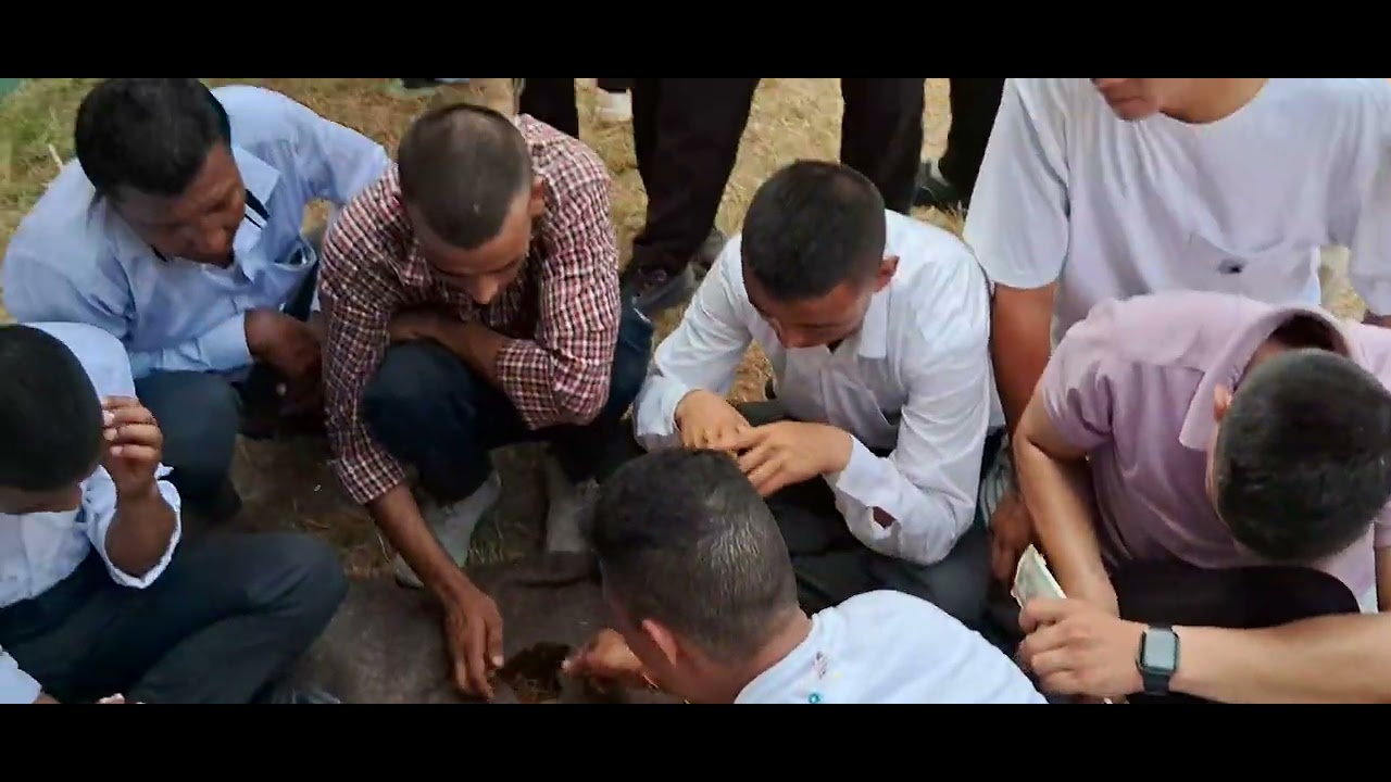 Open flash # Entertainment // Dushera - YouTube