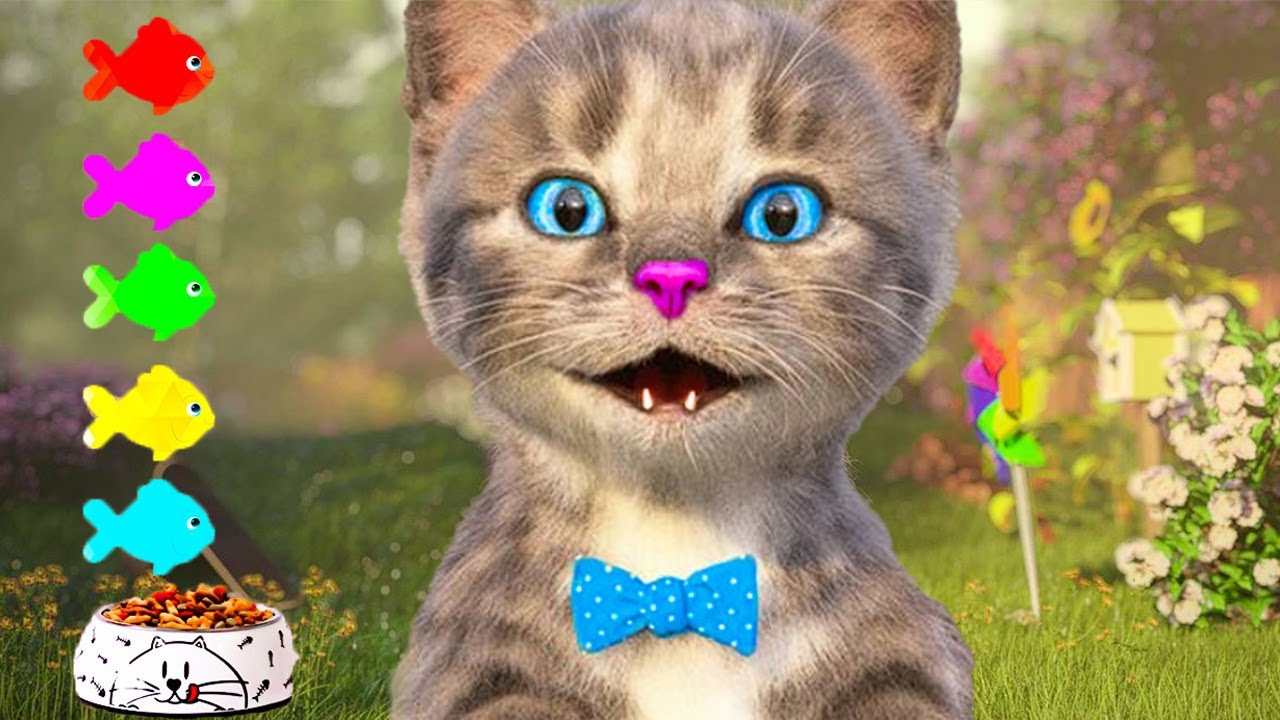 MY HAPPY LITTLE KITTEN ADVENTURE - NEW CAT AND PET CARE - LONG CARTOON ...