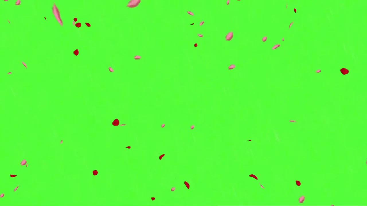 Pink Petals HD Green Screen - YouTube