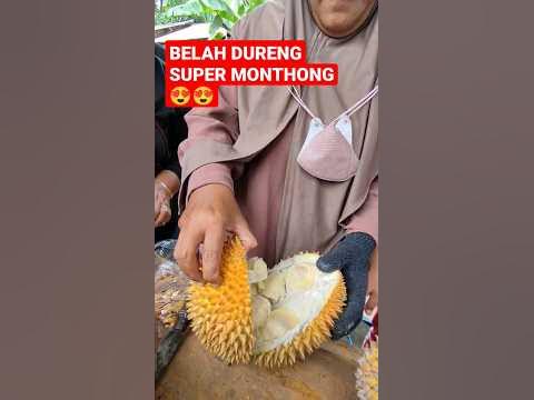 BELAH DUREN SUPER MONTHONG 😍😍😍 #shorts #belahduren #durianmonthong #durian #durianlokal # ...