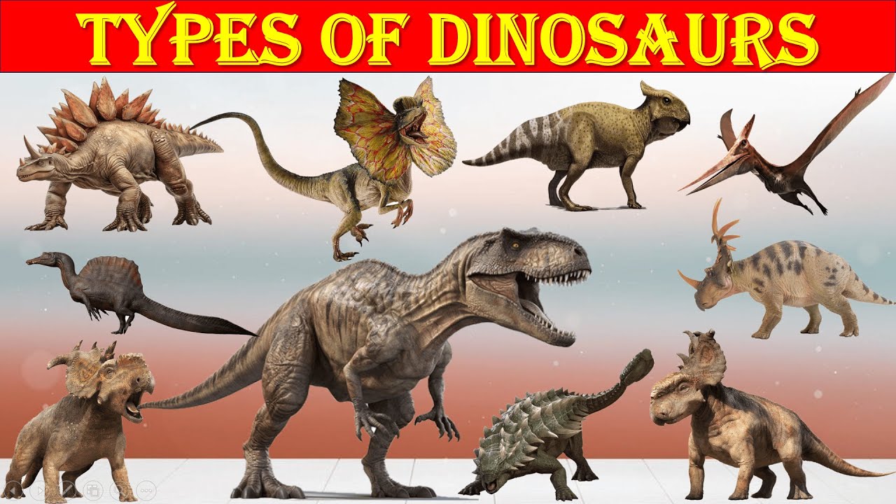 Dinosaurs Vocabulary| Types of dinosaurs names| dinosaur types and ...