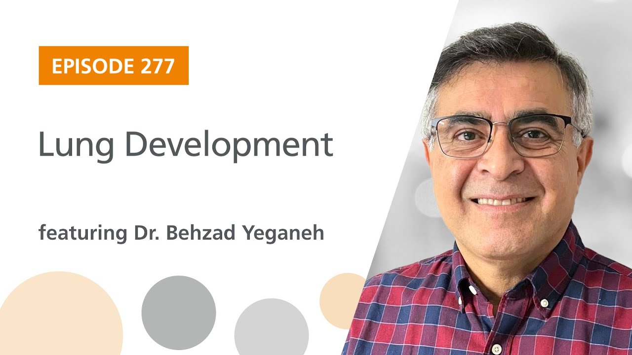 Lung Development featuring Dr. Behzad Yeganeh | The Stem Cell Podcast ...